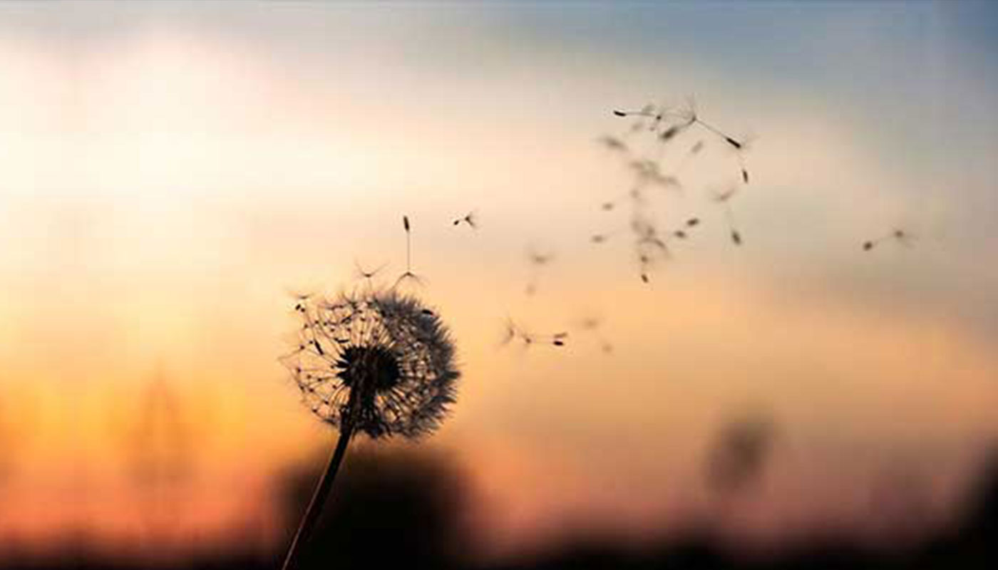 What Is Detachment? Detachment = Attachment + Space – Temple Of Inner ...